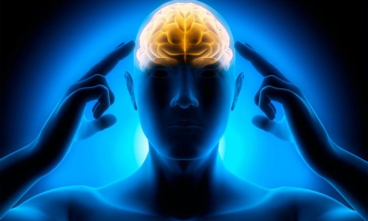 La préparation mentale, pourquoi ? | Alpha Coaching La préparation mentale, pourquoi ? | Alpha Coaching